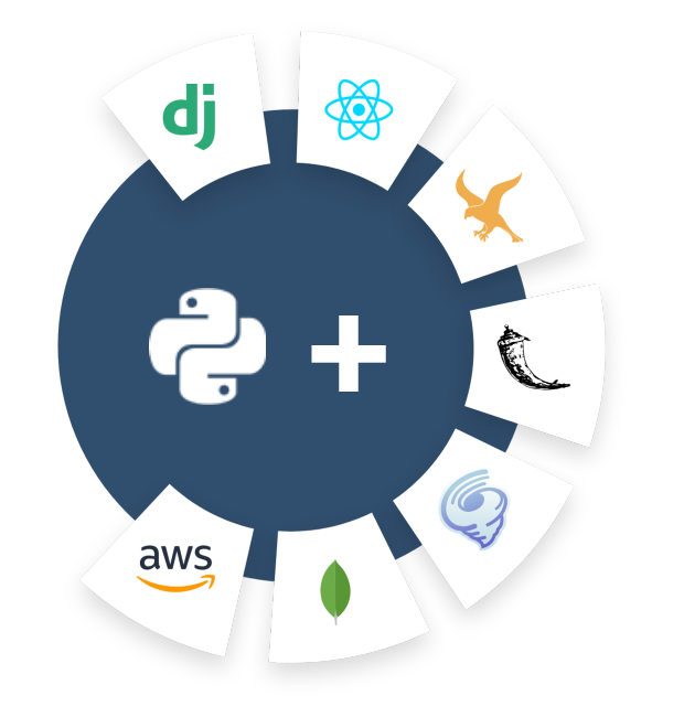 Hire Python Developers Within 2 Days | AI & ML Solutions