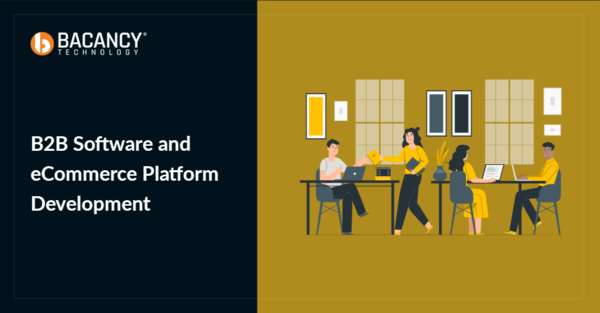 B2B Software, ERP, CRM, and eCommerce Development