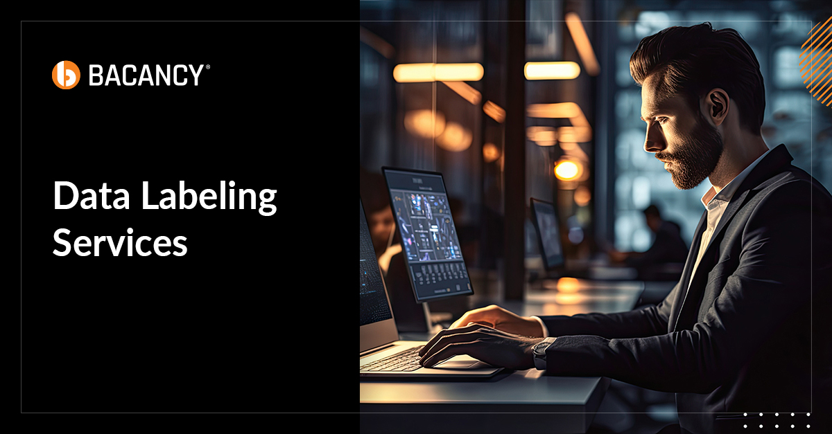 Data Labeling Services | Data Labeling Company