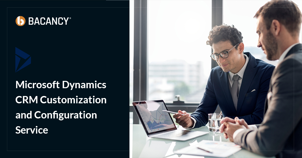 Microsoft Dynamics CRM Customization Services