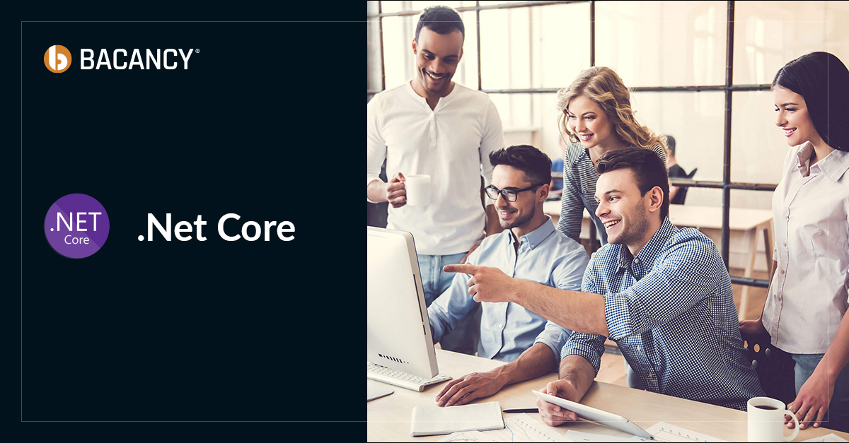 Hire.Net Core Developer on an Hourly or Monthly Basis