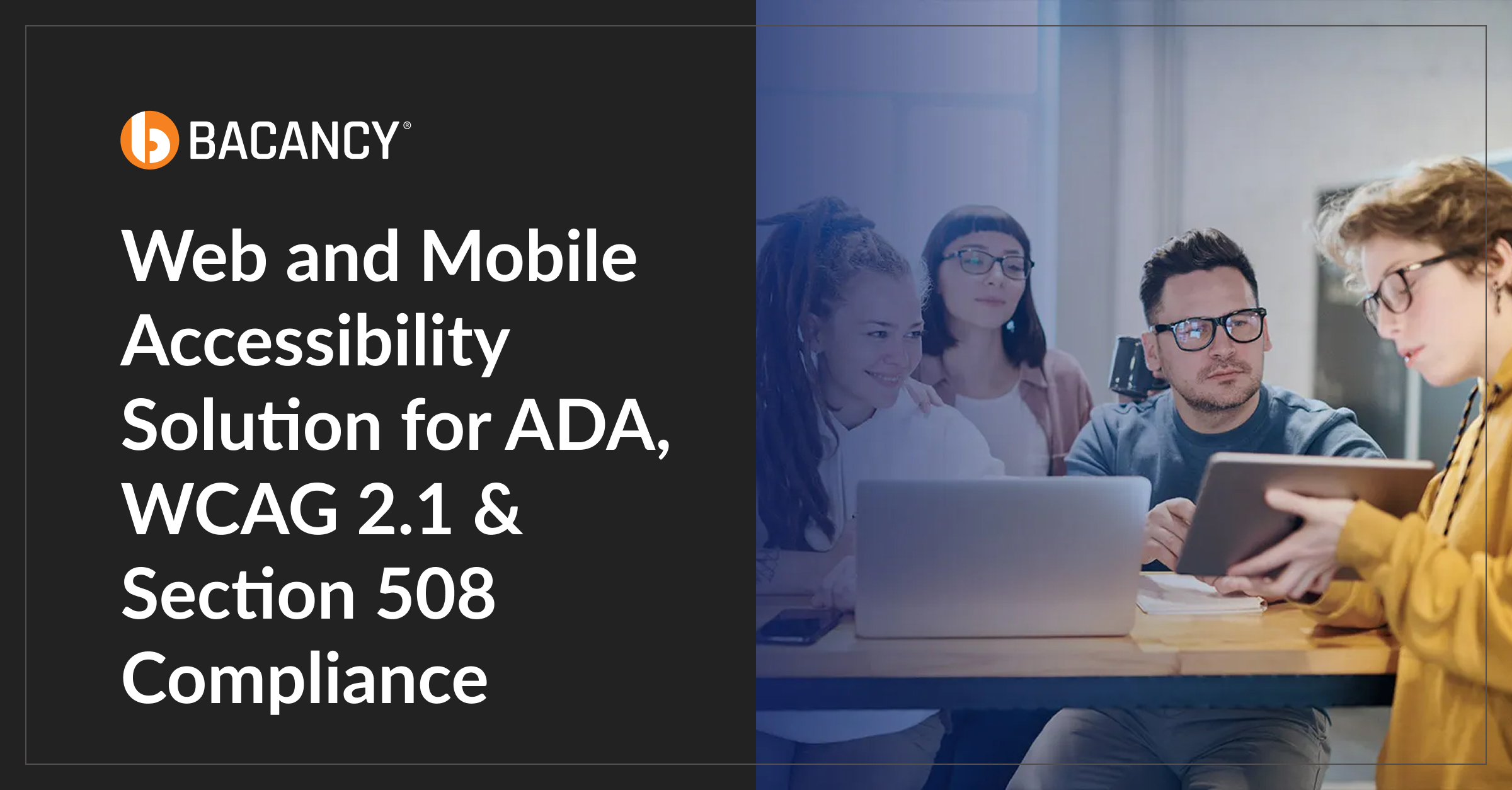 Web Accessibility Solution for ADA, WCAG